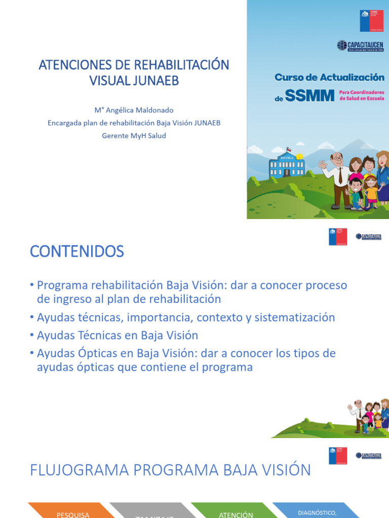 Programa Baja Vision | PDF | Percepción visual | Óptica