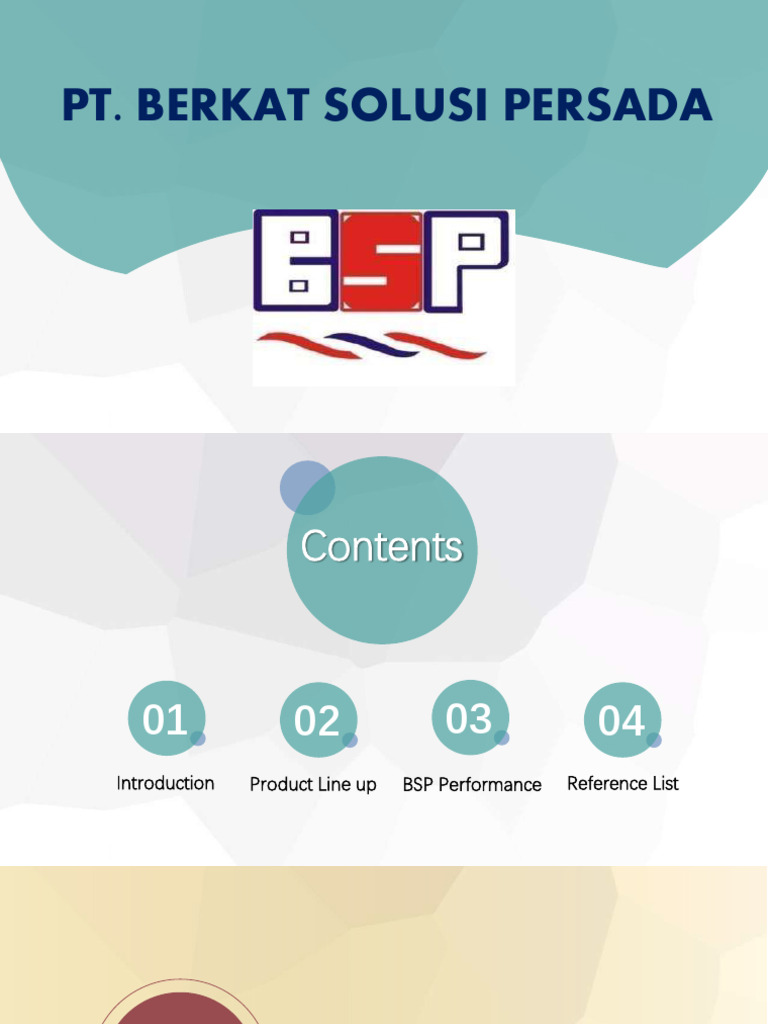 BSP Company Profile | PDF
