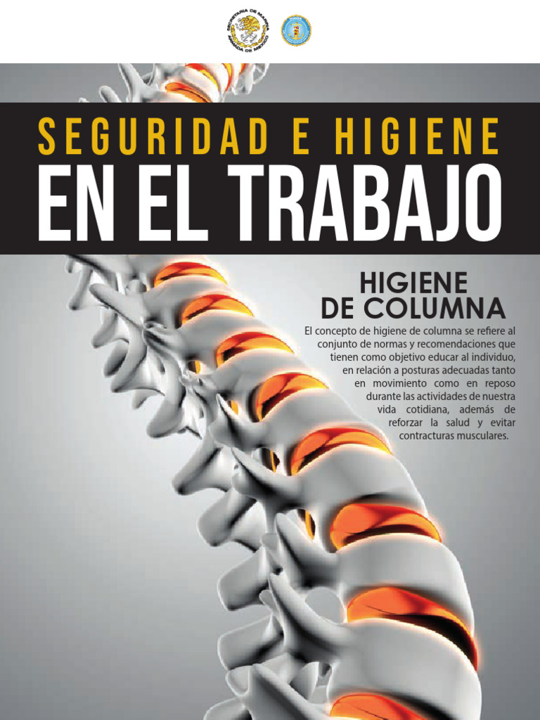 Higiene de Columna | PDF | Factores humanos y ergonomía | Dolor lumbar