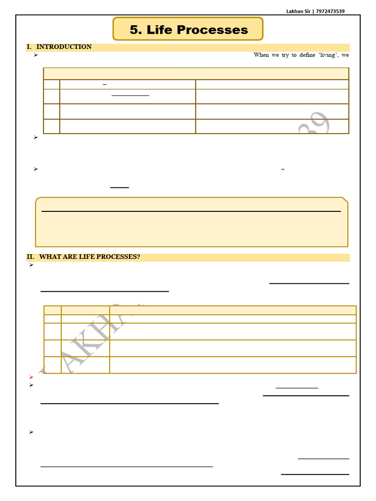 Life processes 1 | PDF | Cellular Respiration | Digestion