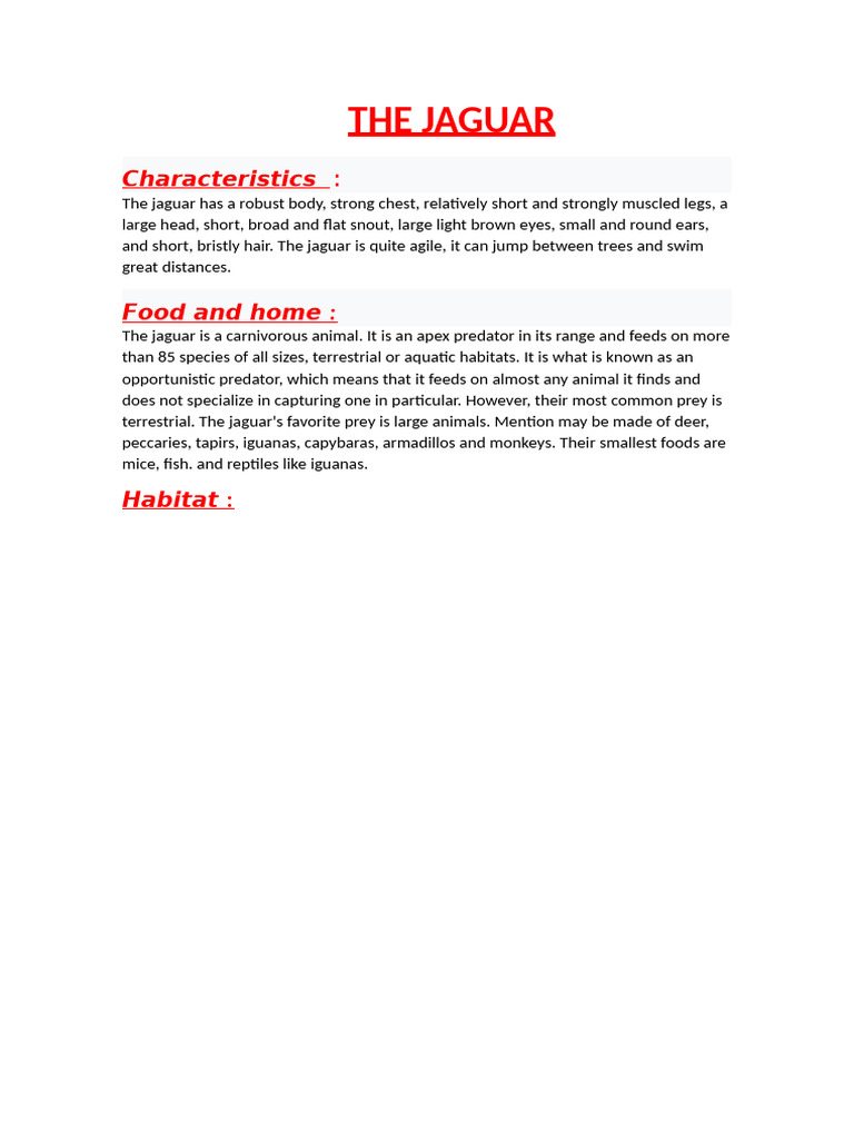 The Jaguar | PDF