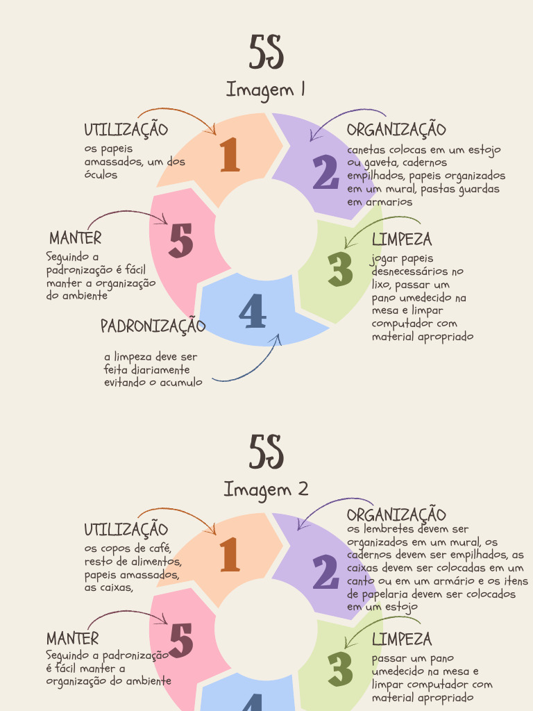 Práticas de Limpeza e Organização 5S | PDF