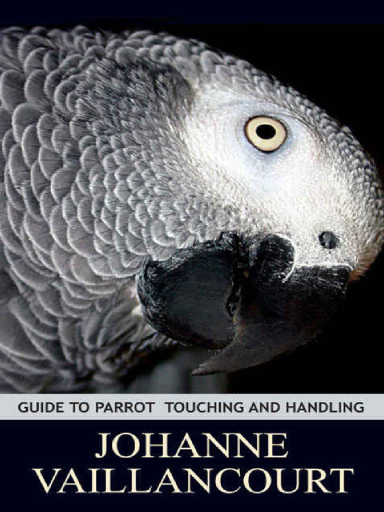 Guide To Parrot Touching and Handling (VetBooks - Ir) | PDF ...