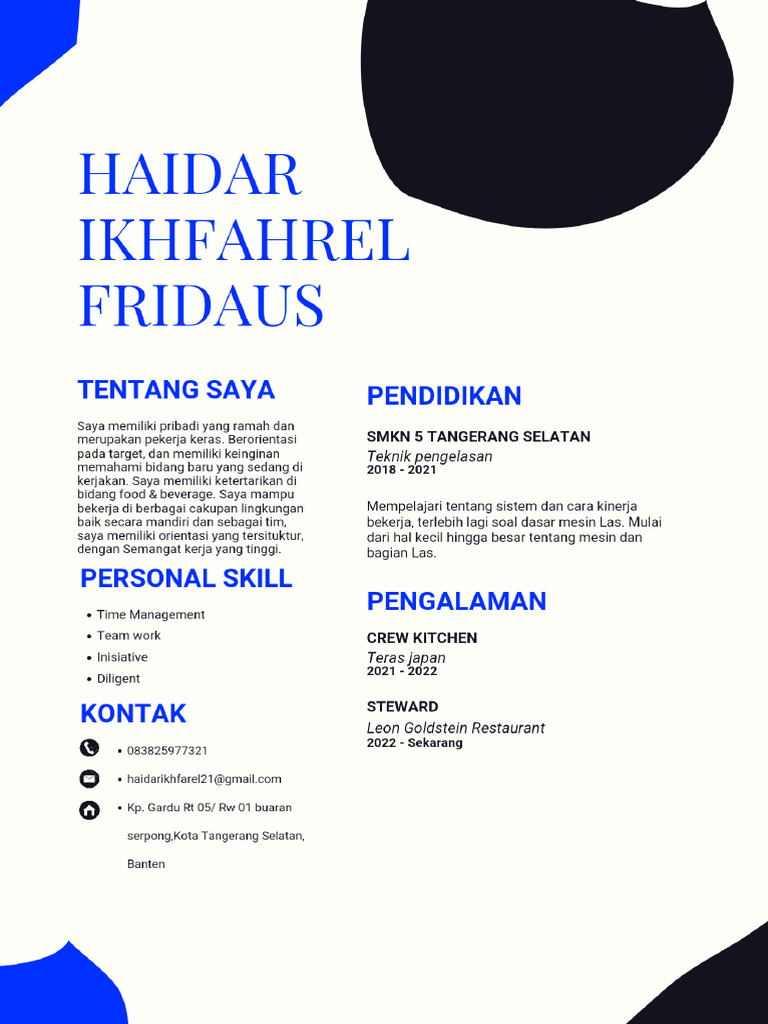 CV Haidar | PDF