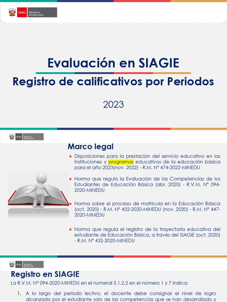 Evaluación en SIAGIE 2023 | PDF | Educación primaria