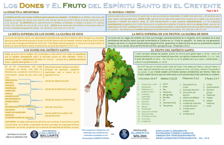 Los Dones y El Fruto Del Es en El Creyente y La Iglesia 1 | PDF ...