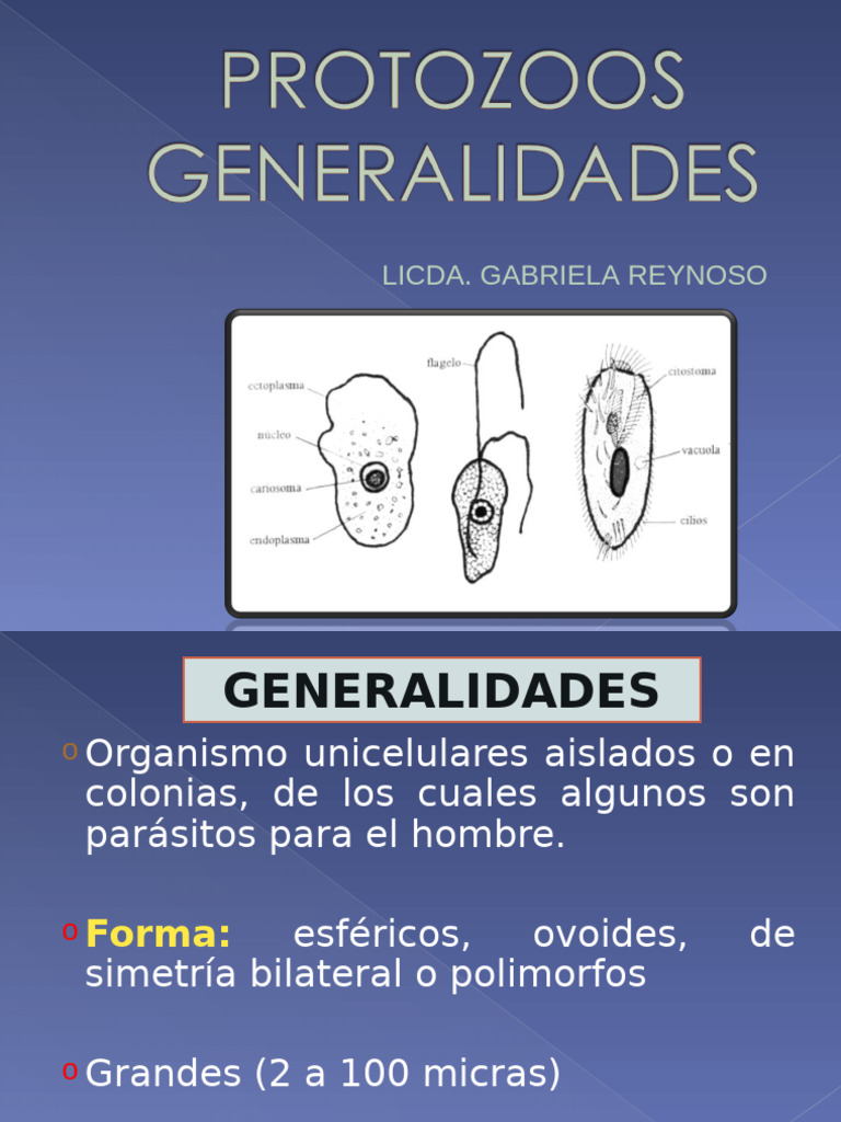 Generalidades Protozoos y Amebas (Clase Sarcodina) Gar | PDF | Biología
