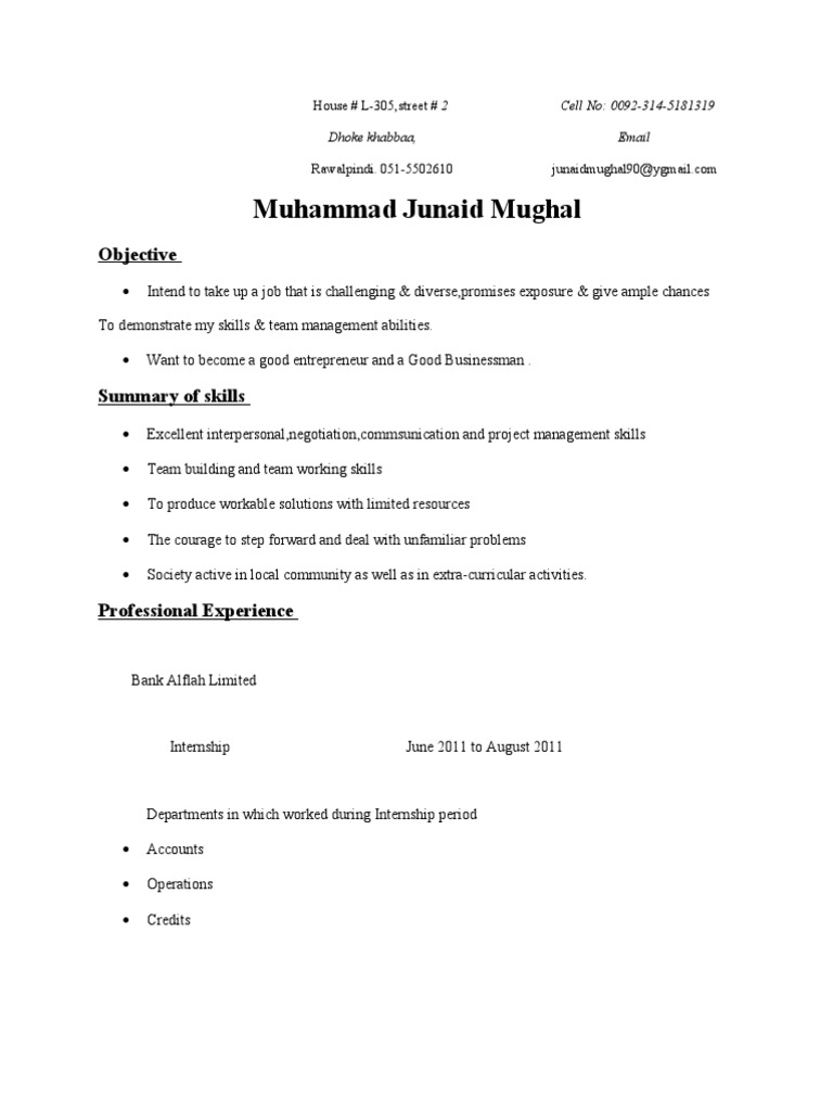 Muhammad Junaid Mughal's CV Summary | PDF | Business