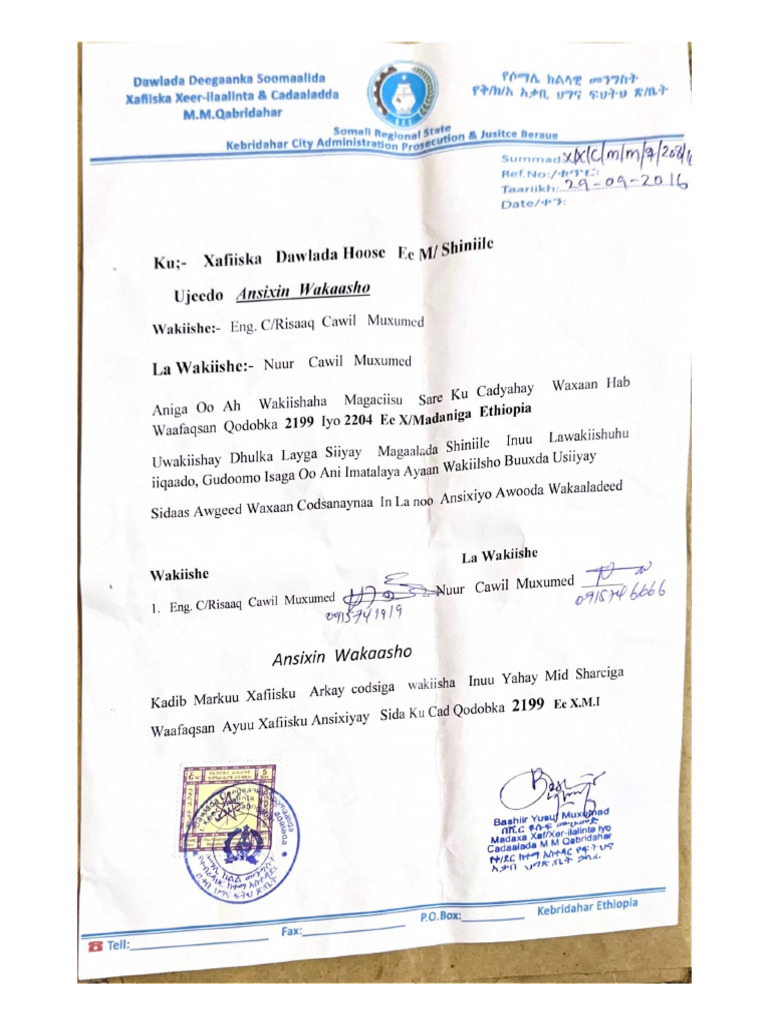 Dawlada Deegaanka Soomaalida | PDF