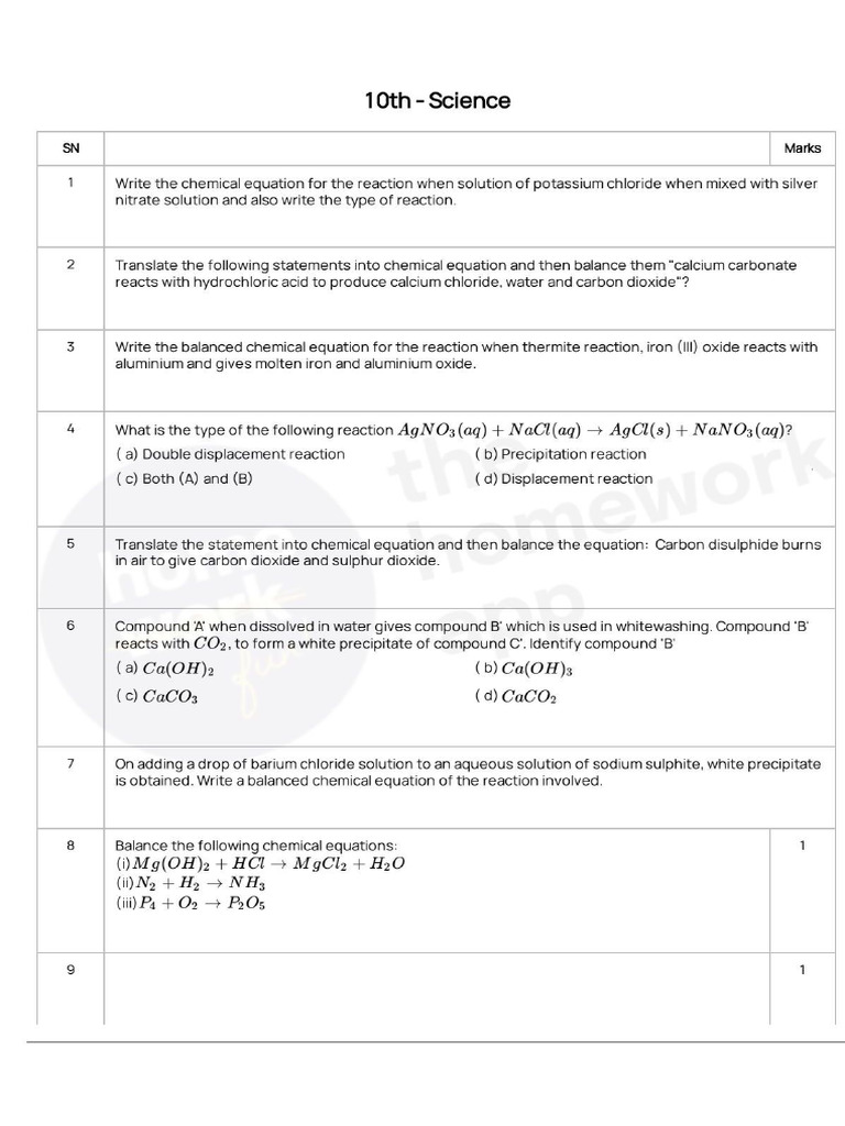 Class 10 Worksheet | PDF