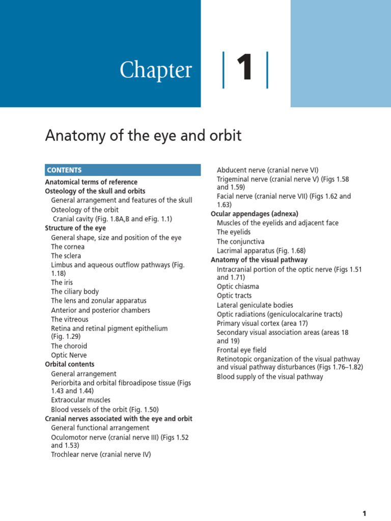 The Eye, Oftalmo Parte 1.1 | PDF | Skull | Anatomy