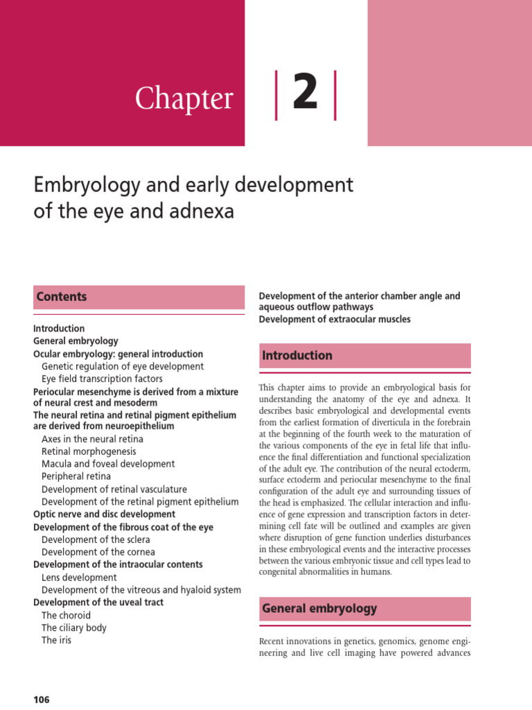 The Eye, Oftalmo Parte 2 | PDF | Retina | Reproduction