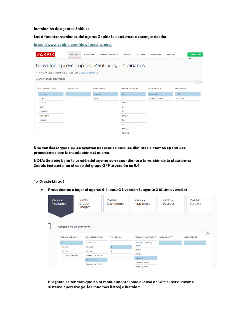 Agentes Zabbix | PDF