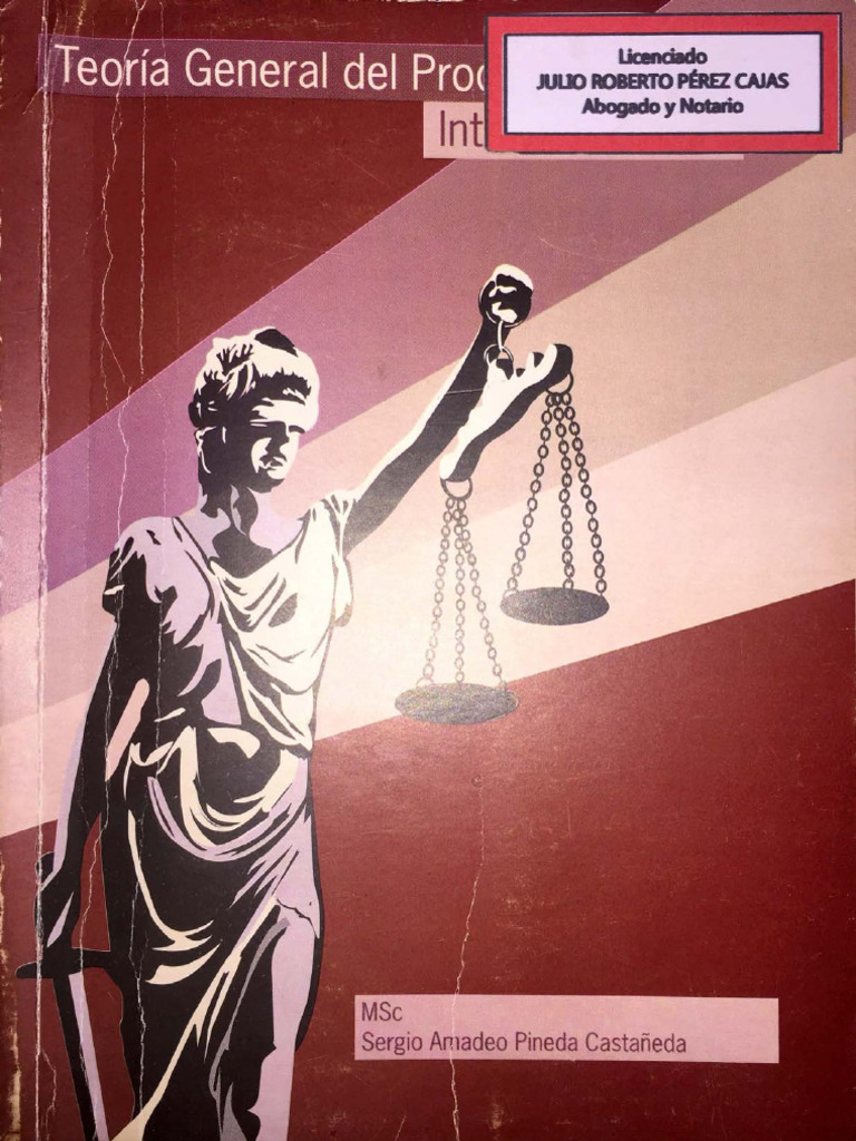 Teoria General Del Proceso Sergio Amadeo Pineda Castañeda | PDF