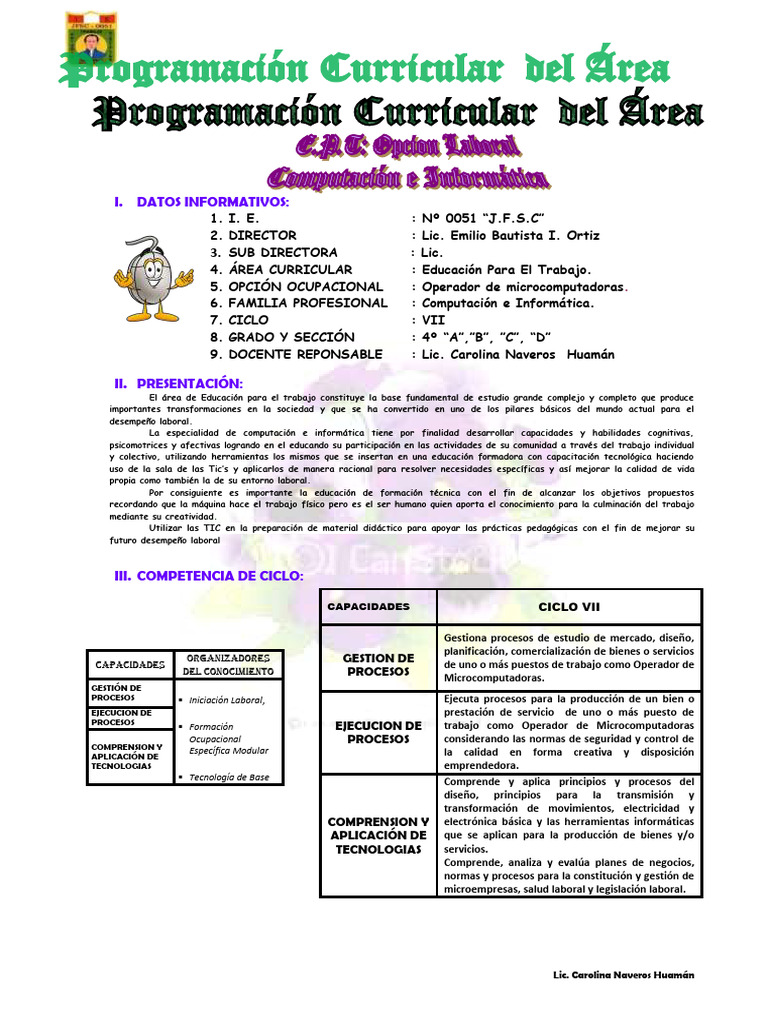 Programacion Anual de Computacion Excel | PDF | Informática