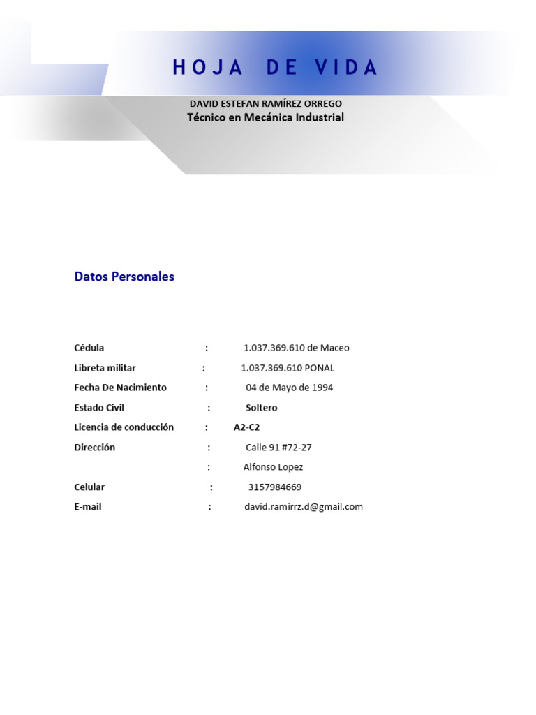 HOJA - DE - VIDA David Ramirez | PDF