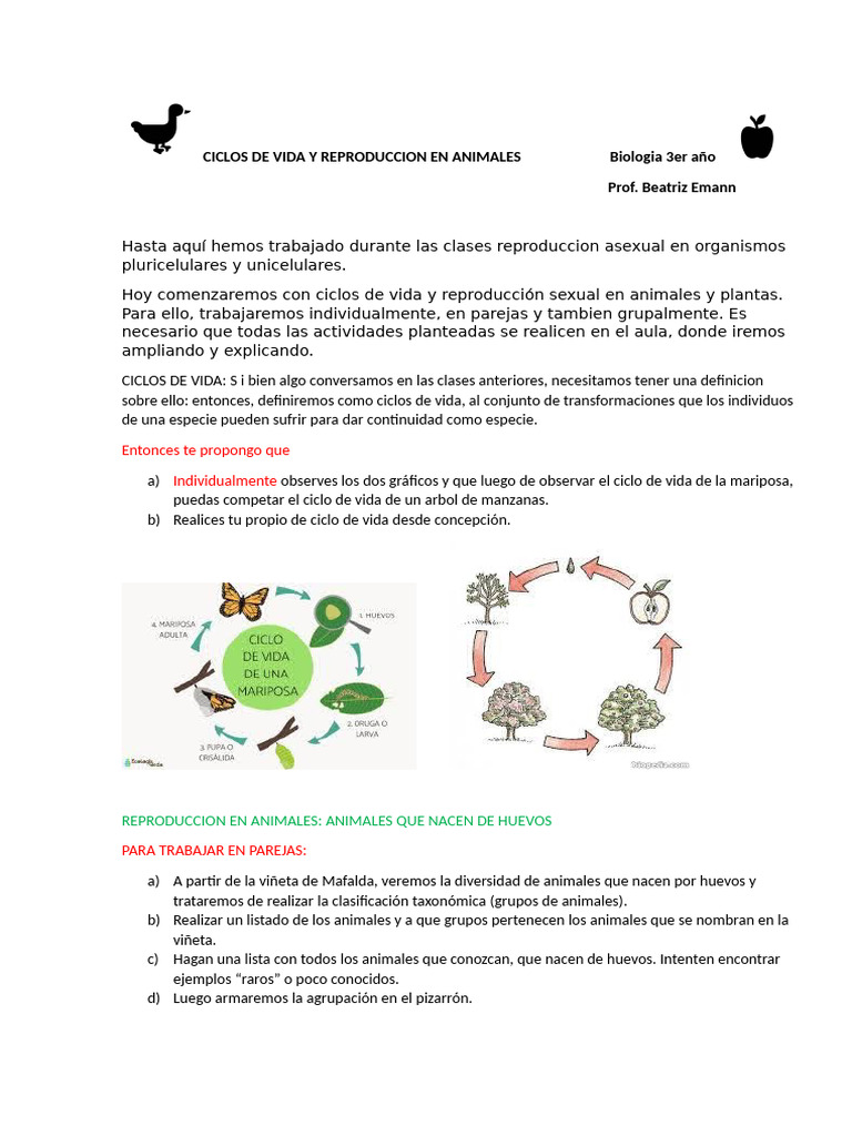 Ciclos de Vida y Reproduccion en Animales | PDF | Huevo | Reproducción