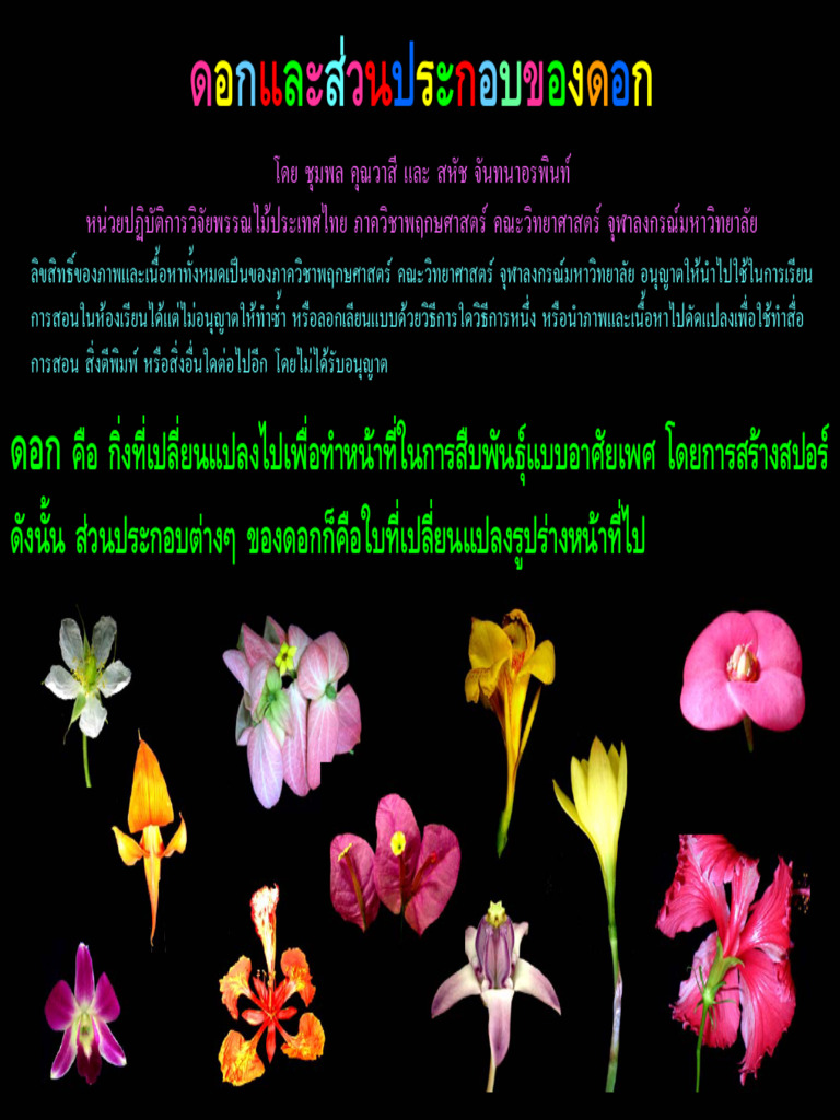 webFLOWER_intro | PDF