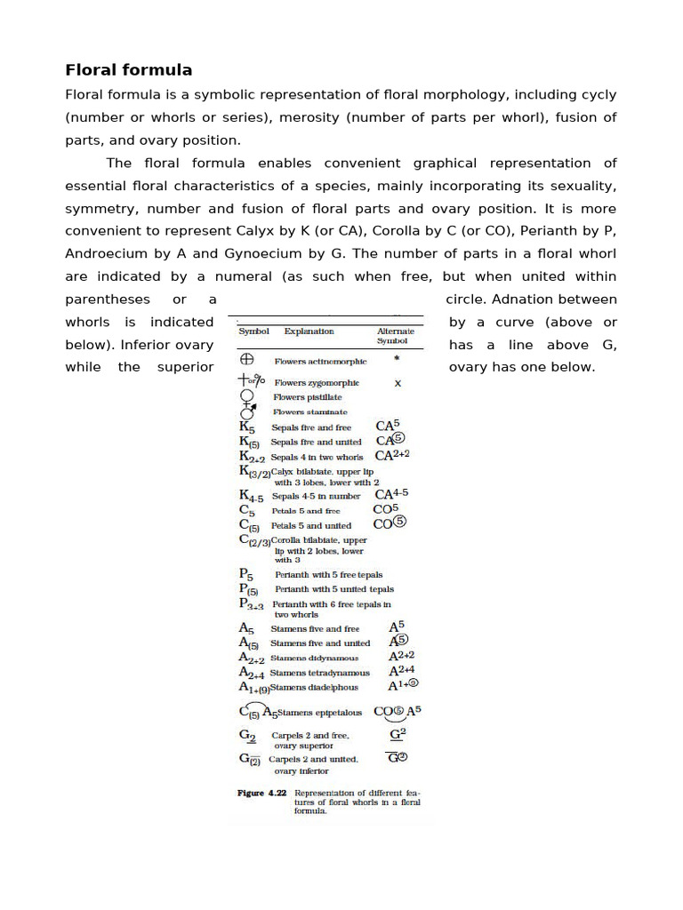 5 Floral Fromula Floral Diagram | PDF | Flowers | Botany