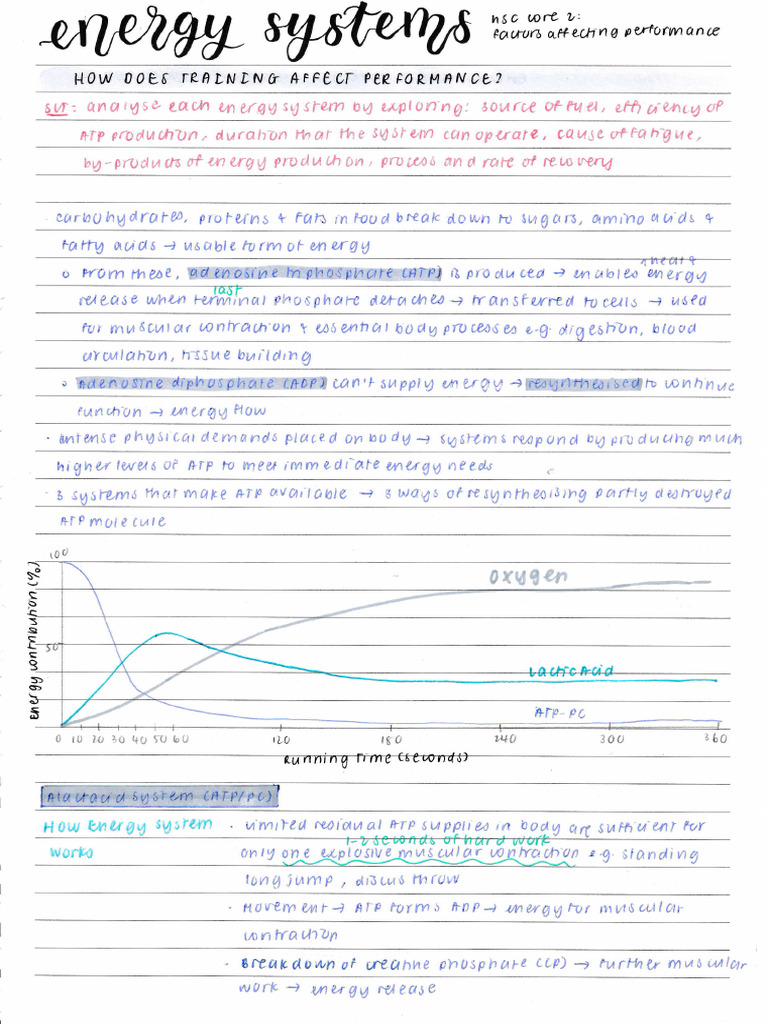HSC Pdhpe Core 2 Notes | PDF