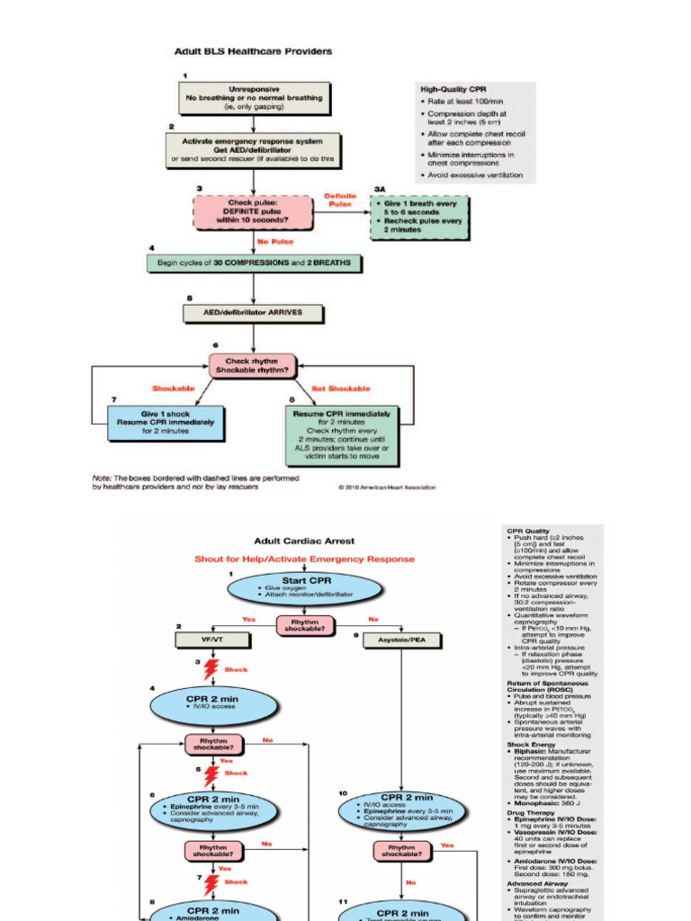 Algorithms Crash Cart | PDF