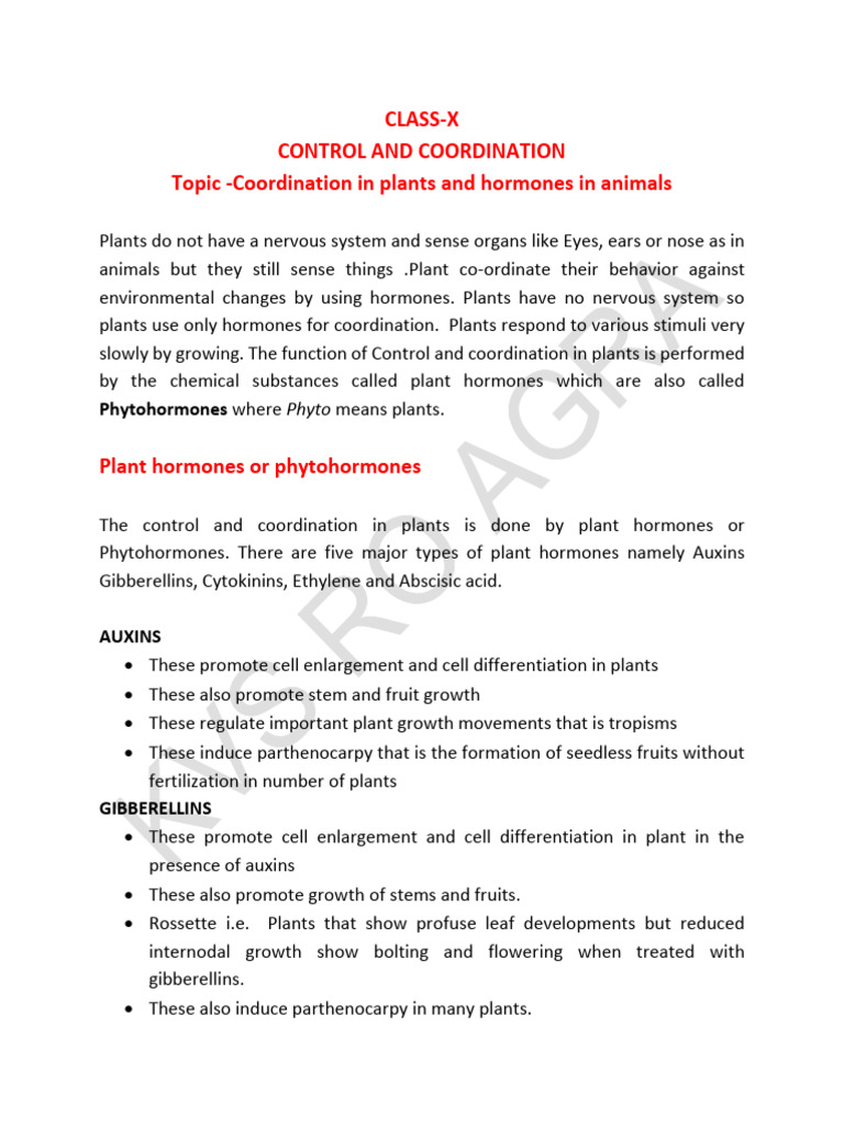 Coordination in Plants and Hormones in Animals Notes | PDF | Endocrine ...