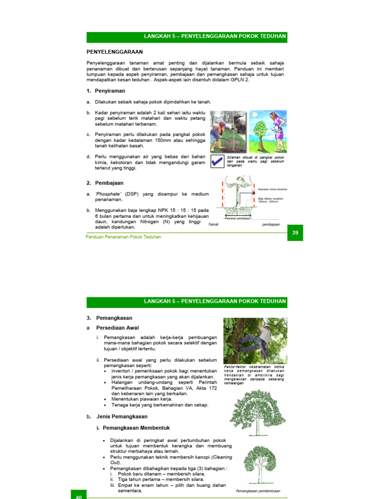 Panduan Pemangkasan Pokok Teduhan | PDF