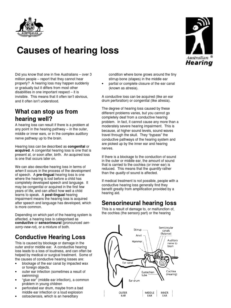 Causes of Hearing Loss | PDF | Hearing Loss | Ear