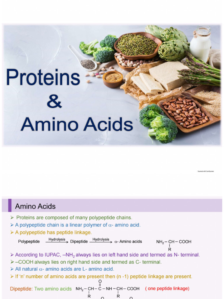 Amino Acids | PDF