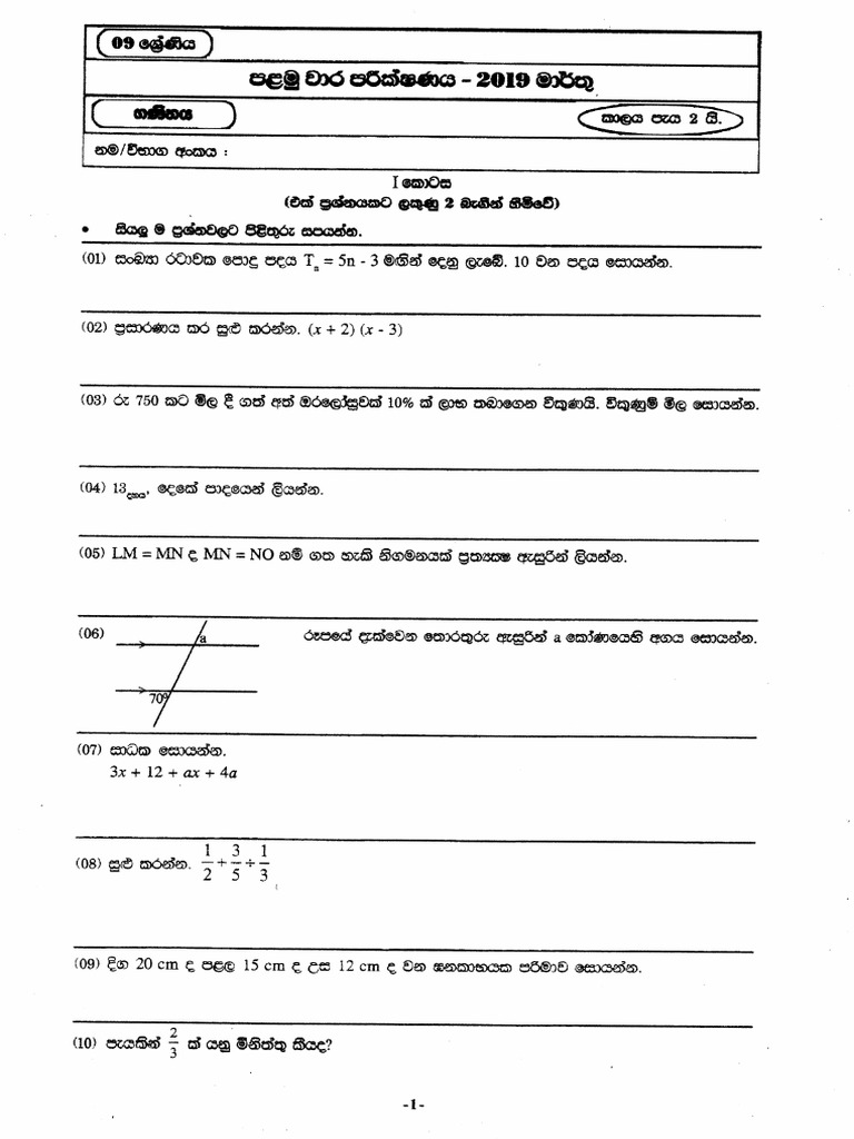(4-I) 2019 Grade 09 Mathematics First Term Test Paper Uva Province | PDF