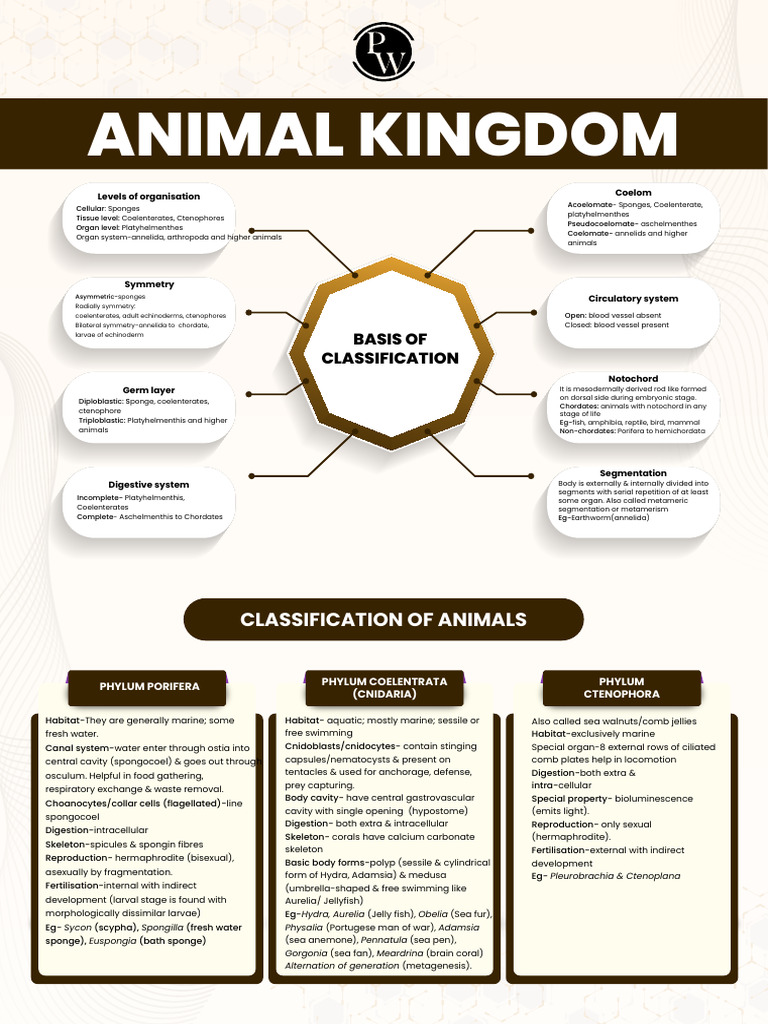 animal kingdom | PDF | Sponge | Zoology