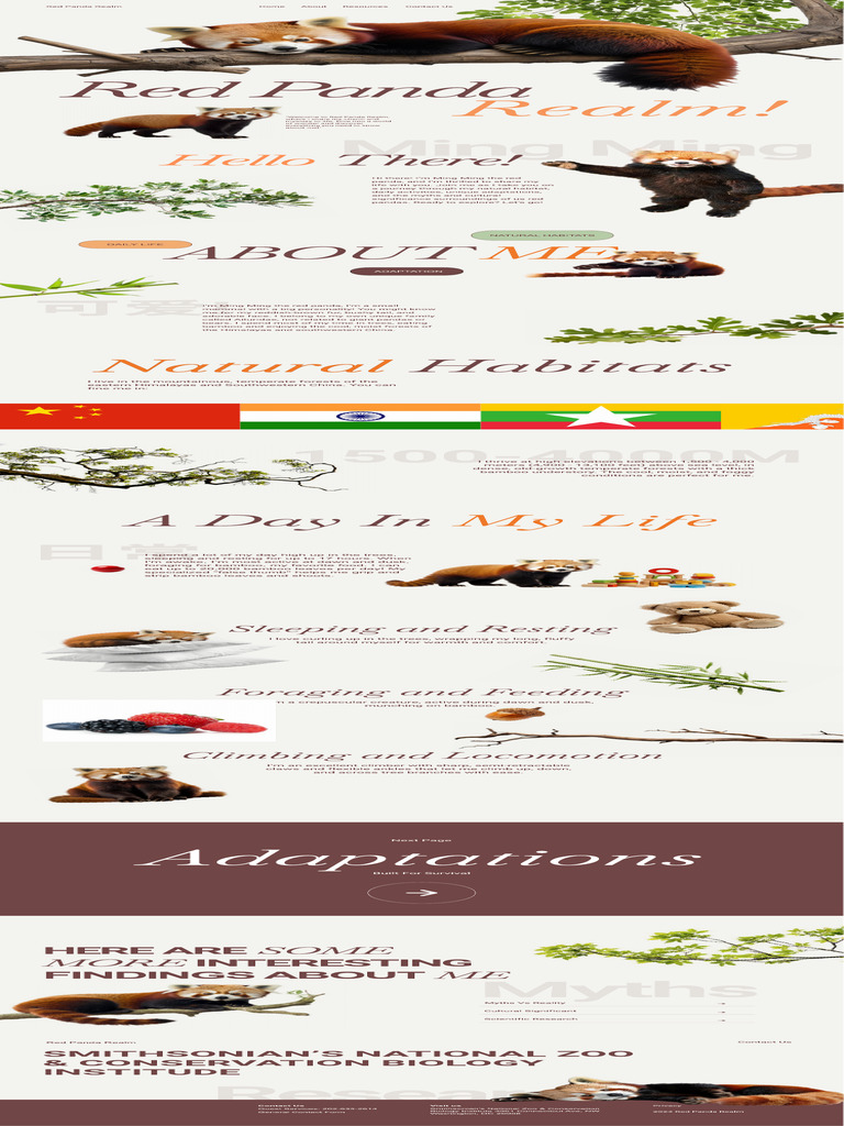 Main | PDF | Giant Panda | Zoology