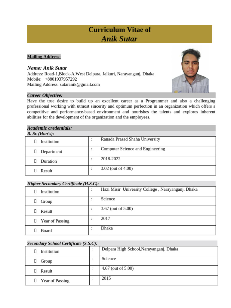 CV Template | PDF | Computing | Computer Science
