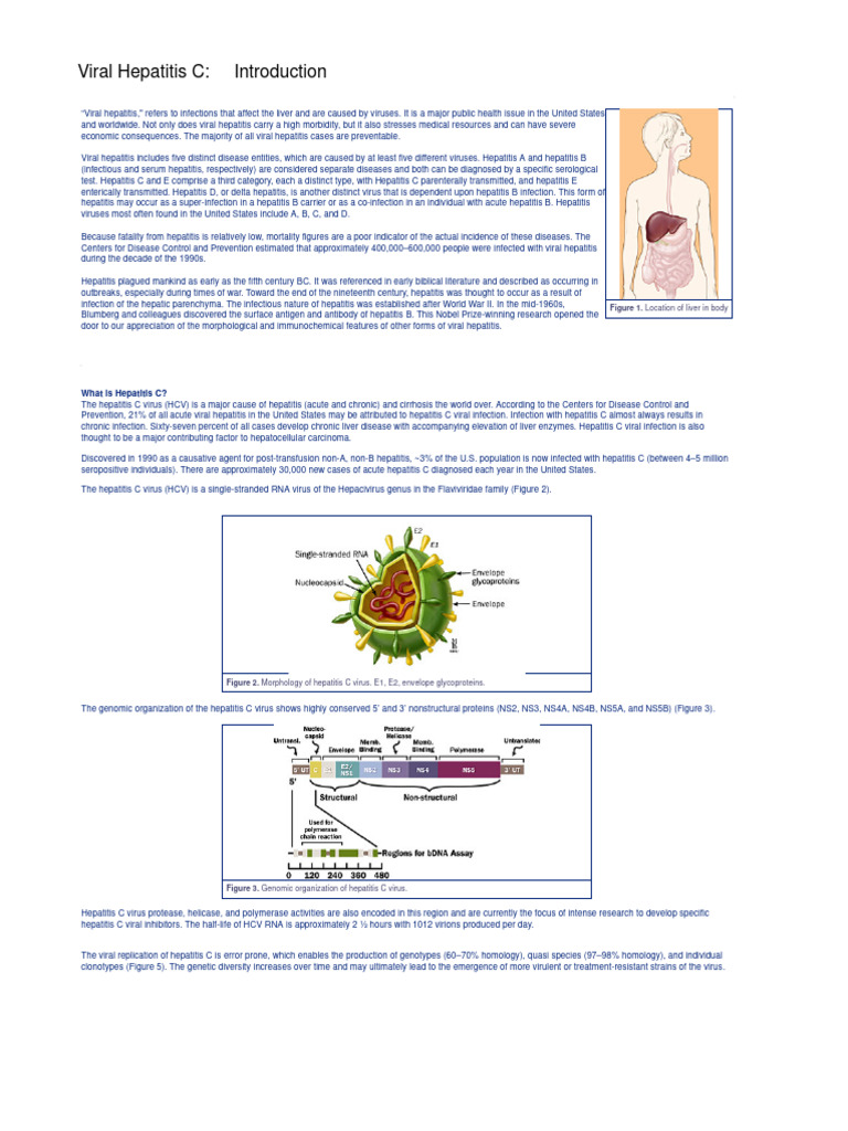Viral Hepatitis C | PDF | Hepatitis C Virus | Hepatitis