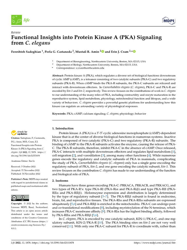 Functional Insights Into Protein Kinase A (PKA) Signaling From C. Elegans | PDF | Calcium In ...