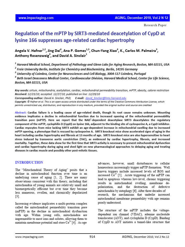 Regulation of The MPTP by SIRT3 Mediated Deacetylation of CypD at | PDF ...