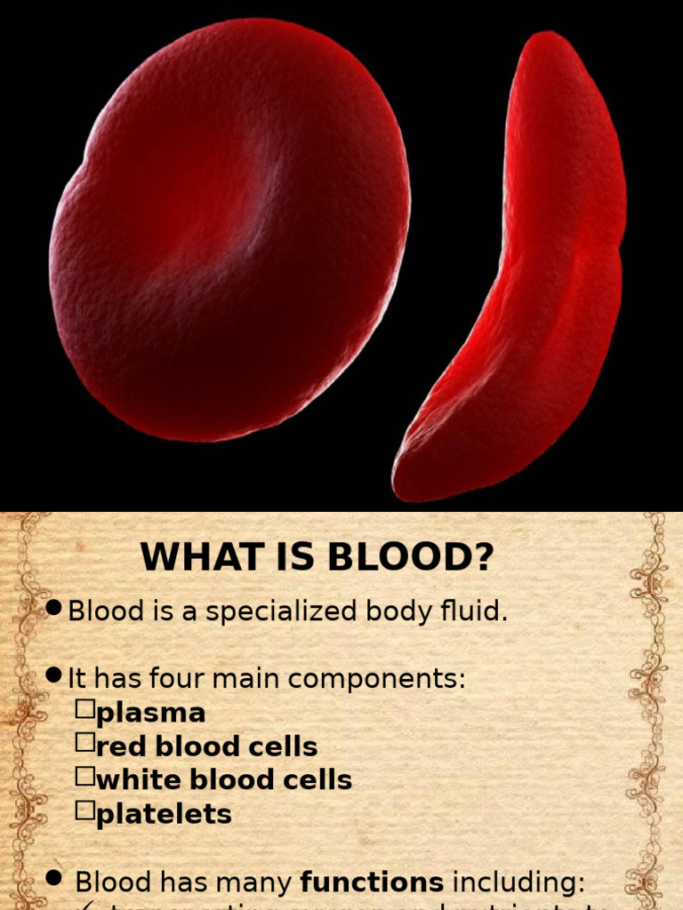 Blood | PDF | Blood Type | Blood