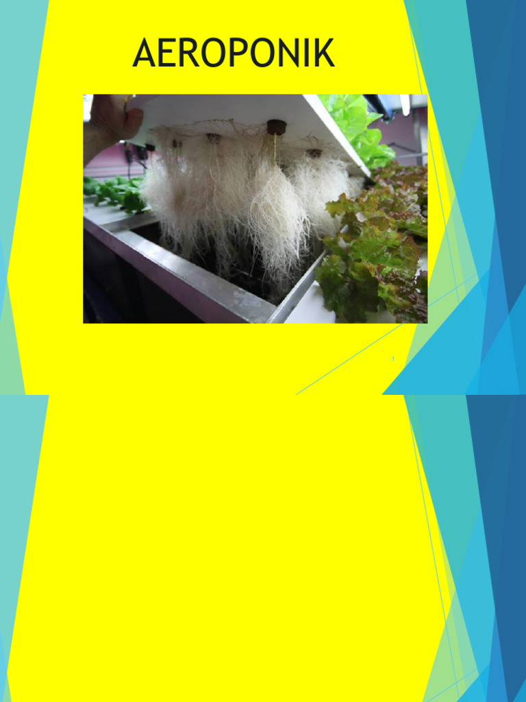 Aeroponik 1 | PDF