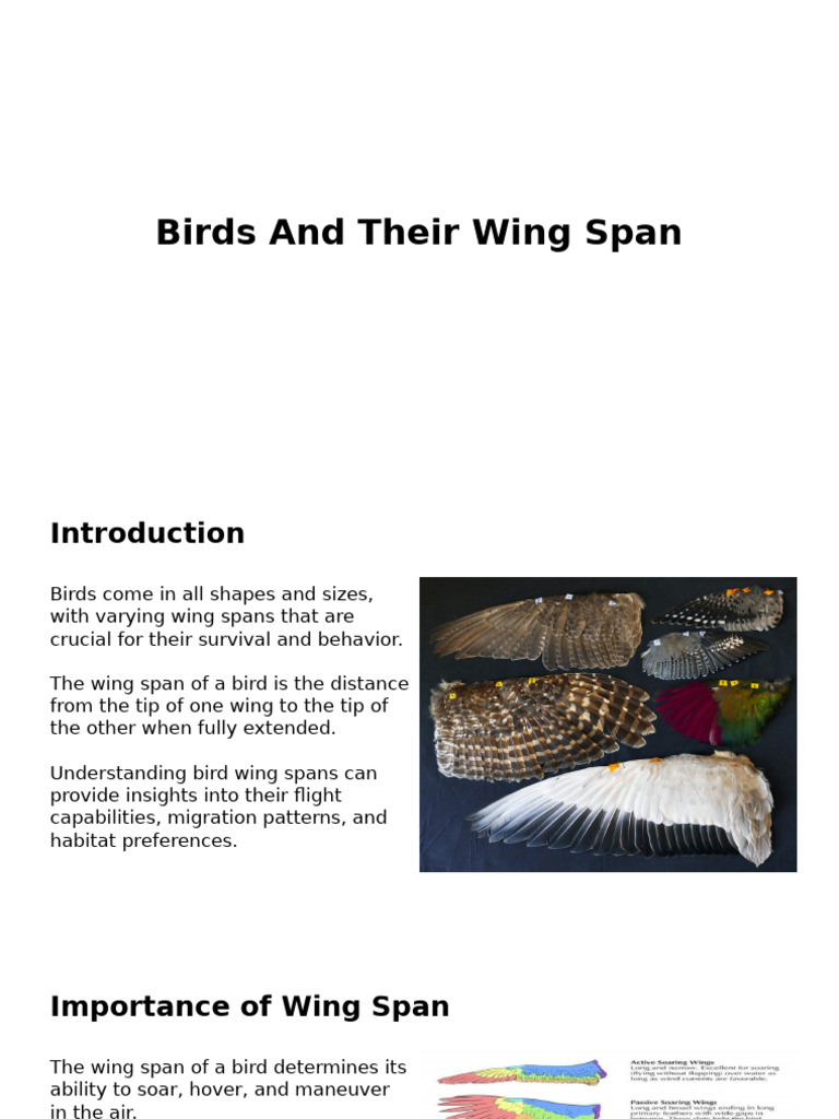 Birds and Their Wing Span | PDF | Birds | Bird Migration