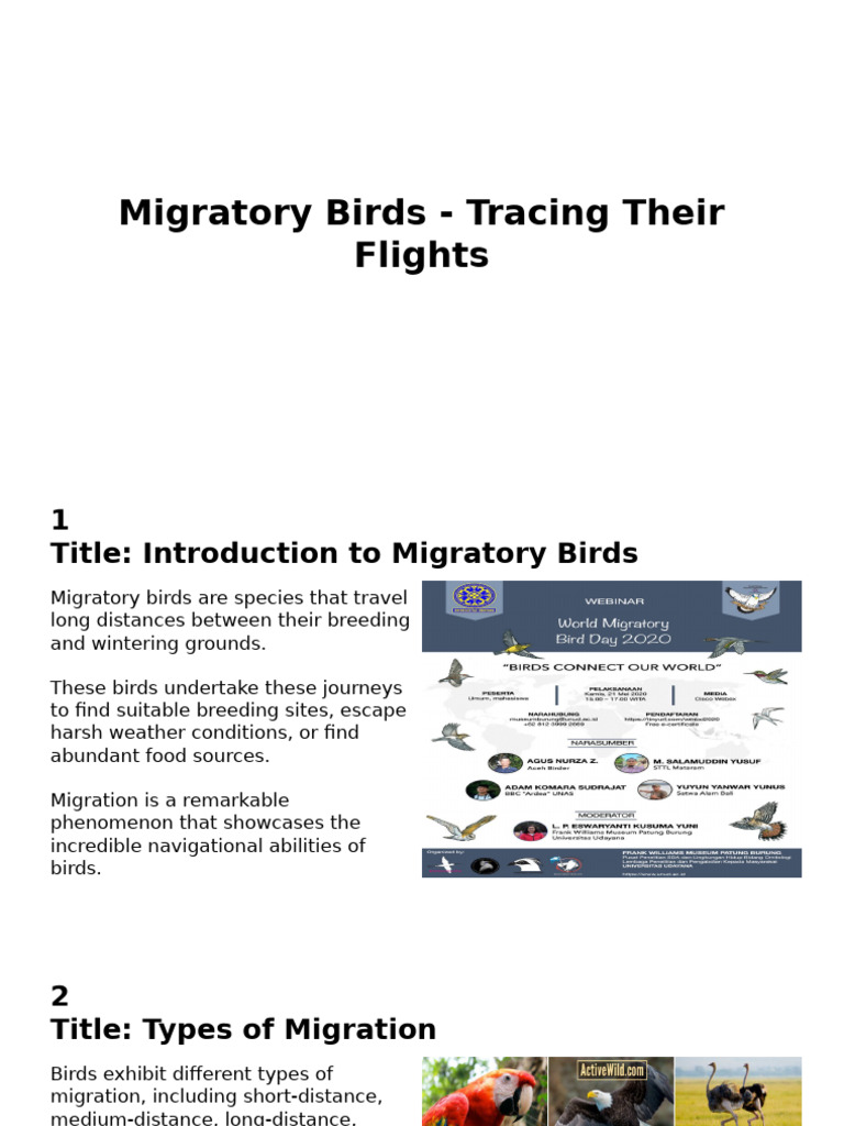 Migratory Birds - Tracing Their Flights | PDF | Bird Migration | Conservation Biology