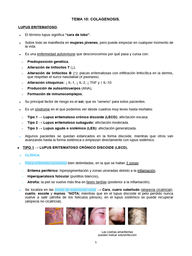 D10 | PDF | Condiciones cutáneas | Causas de la muerte