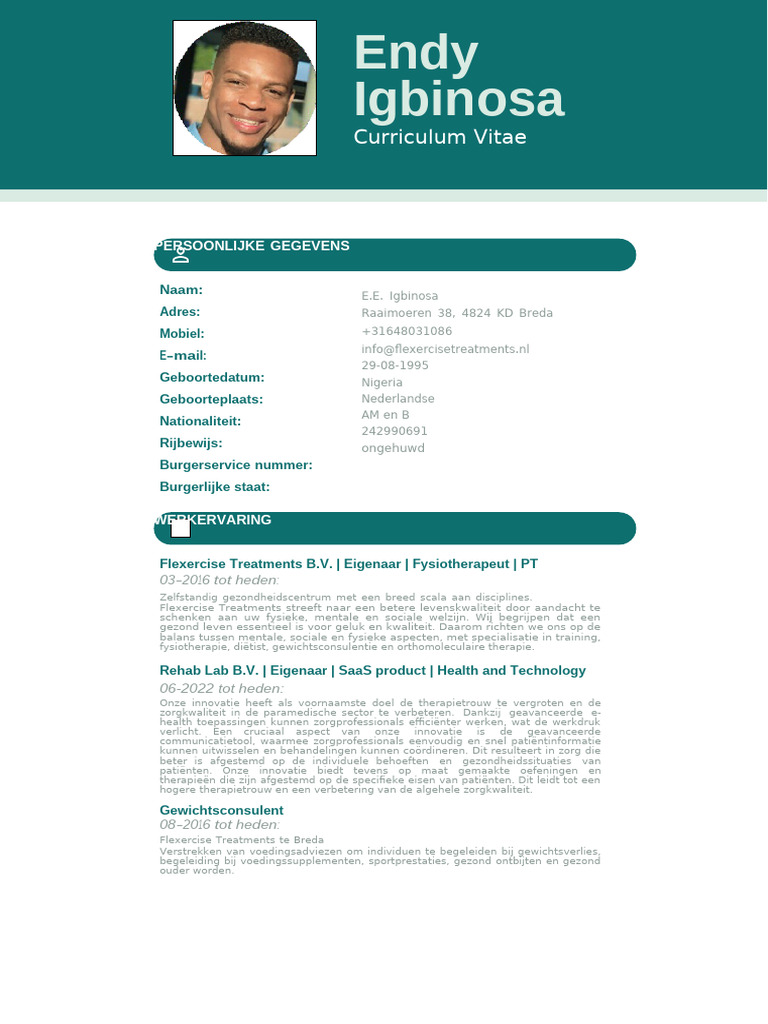 Endy Igbinosa CV Design | PDF