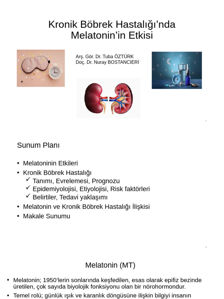 Melatoninin KBH e Etksi | PDF