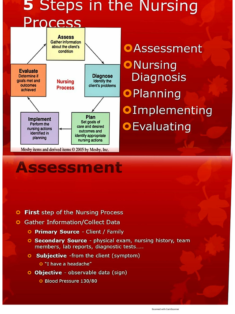 Nursing Process | PDF