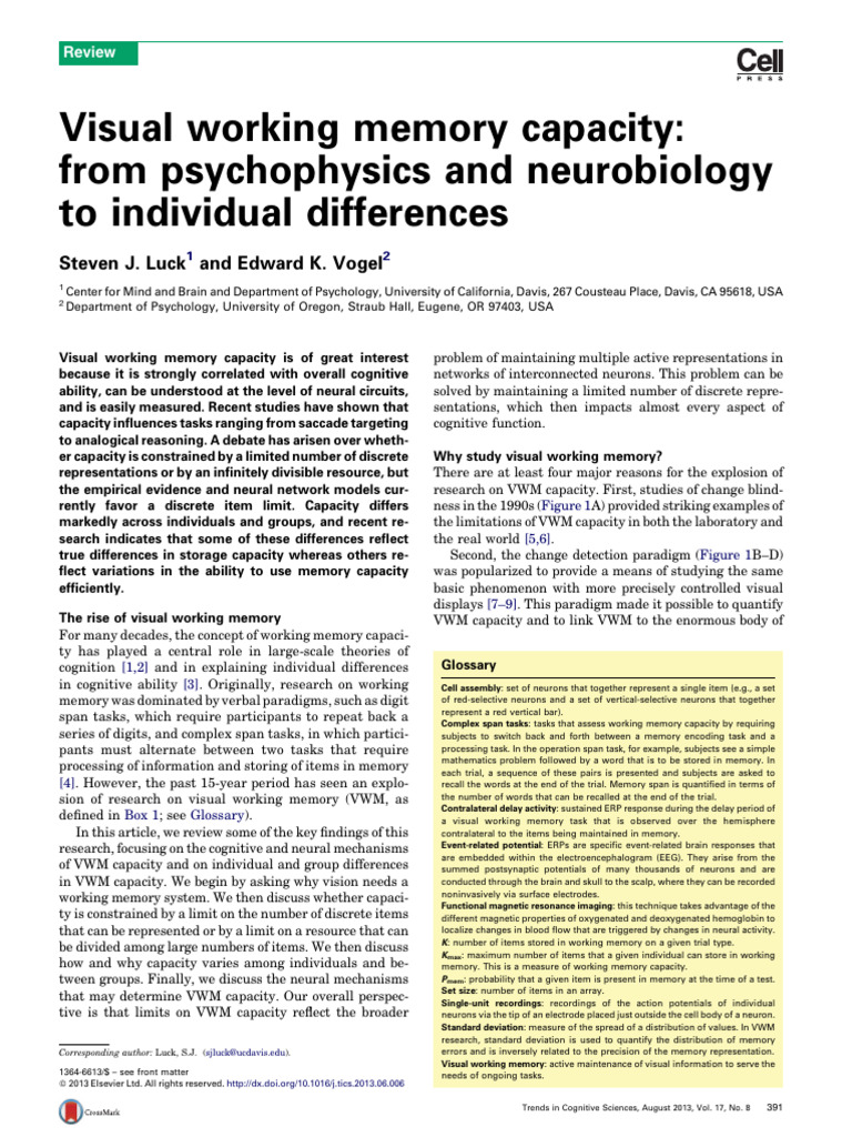 8_Visual Working Memory | PDF | Working Memory | Memory