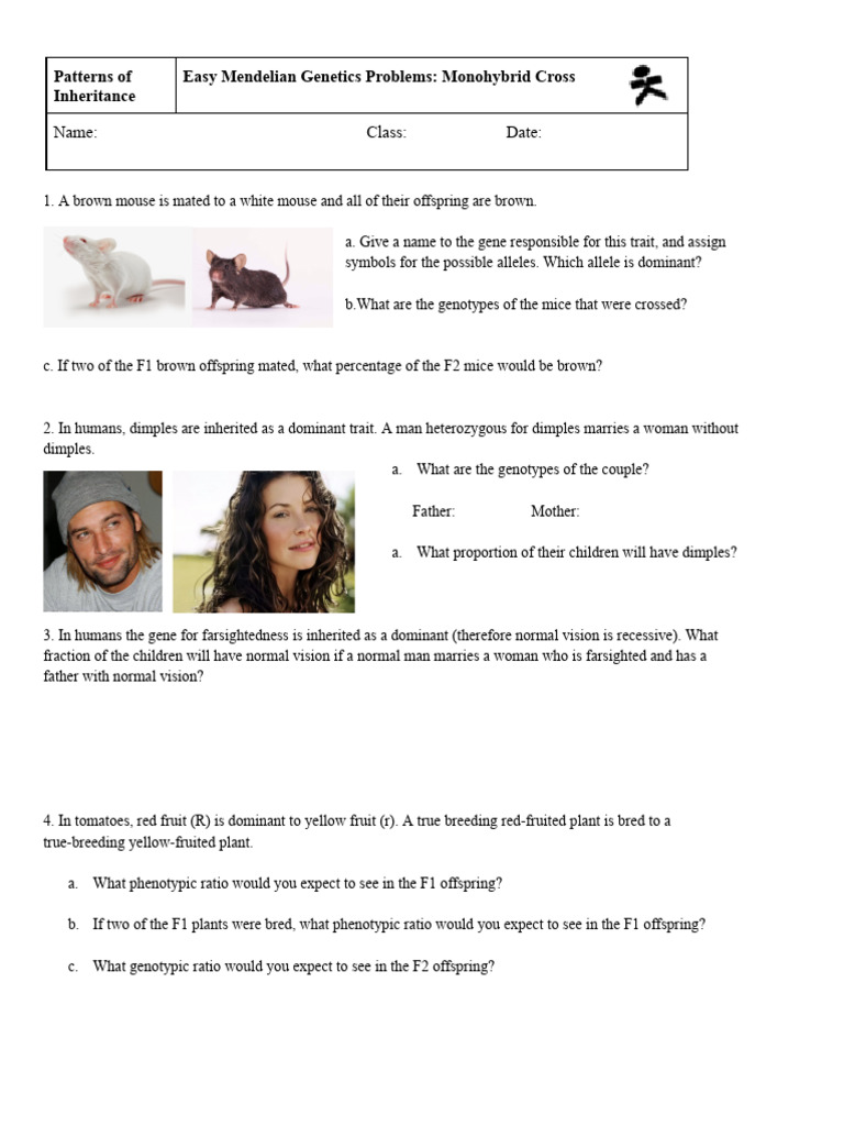 Monohybrid Cross Problems | PDF | Dominance (Genetics) | Genotype