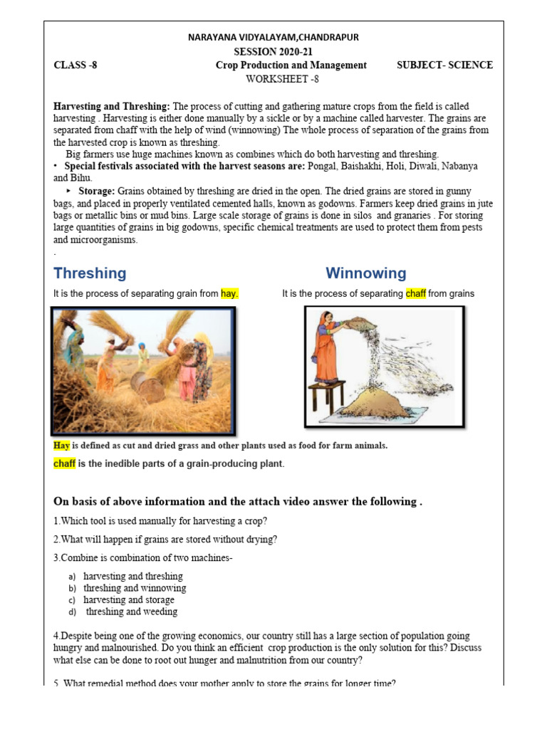 worksheet 8 sci | PDF