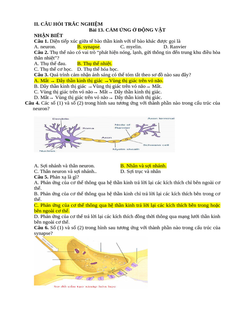 Sinh Gi A Kì 2 | PDF
