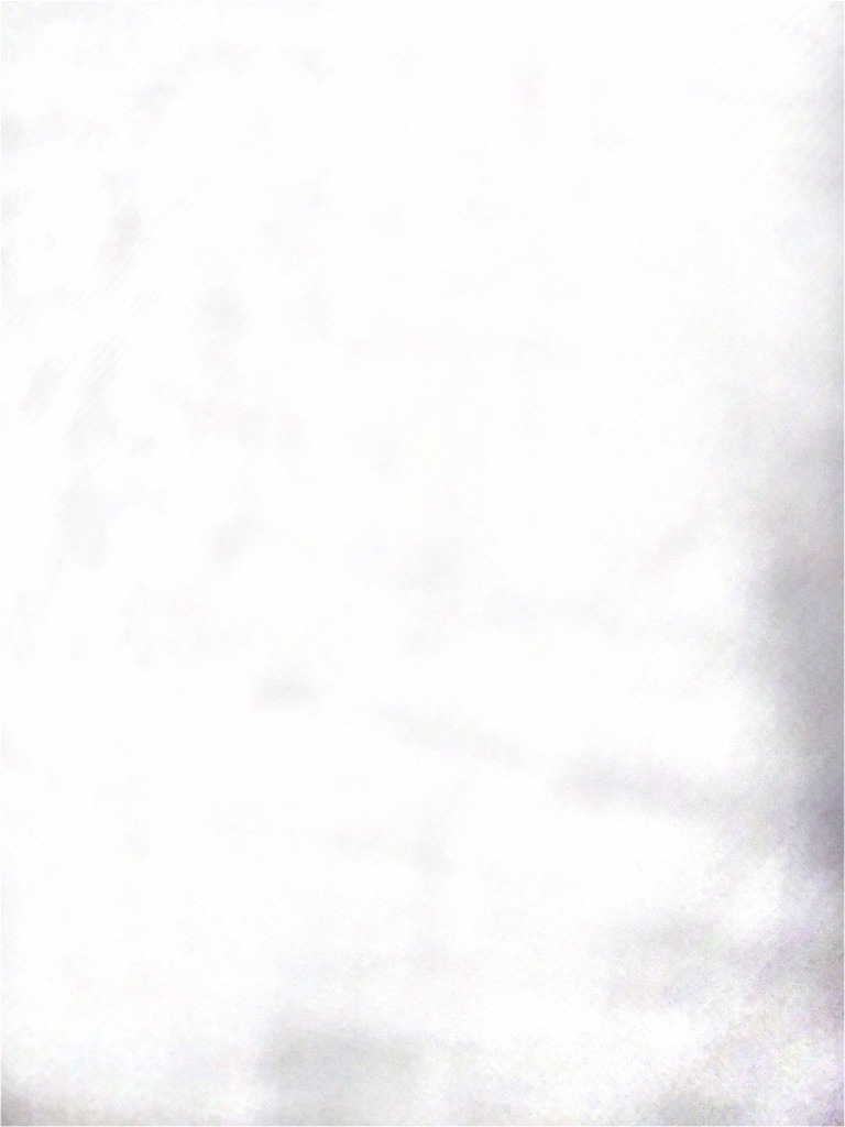 Scanned Document 25 Pdf