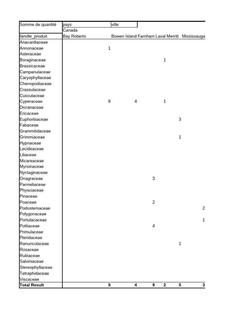 02 03 Rainforest Inc TCD | PDF